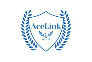 会社概要 | AceLink株式会社